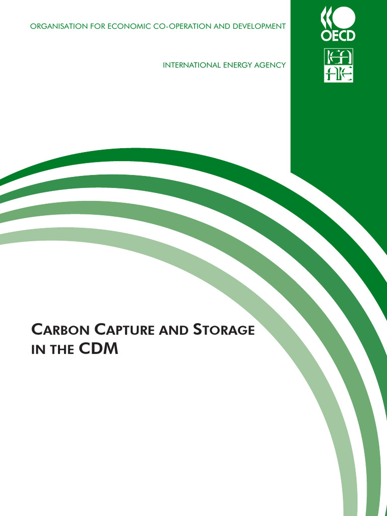 CCS in CDM | PDF