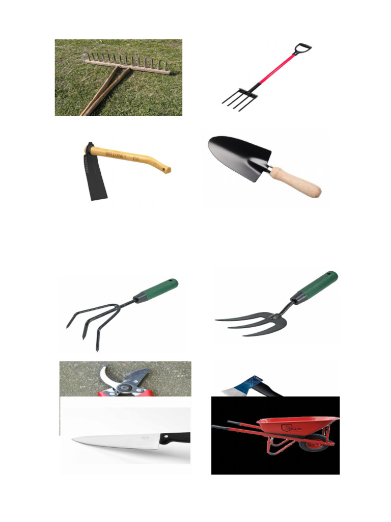 Alex Project Picture 2024 | PDF