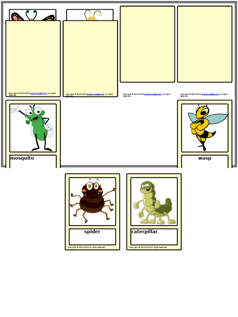 Insects Vocabulary Esl Printable Learning Cards For Kids | PDF | Business