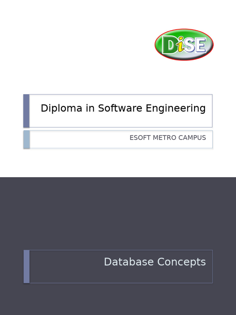 Chapter 4 - Database Concepts | PDF