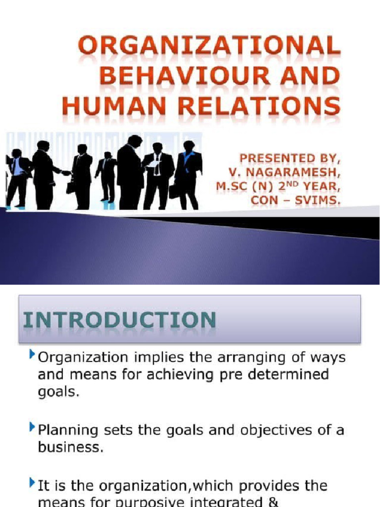 Organizational Behaviour and Human Relations | PDF