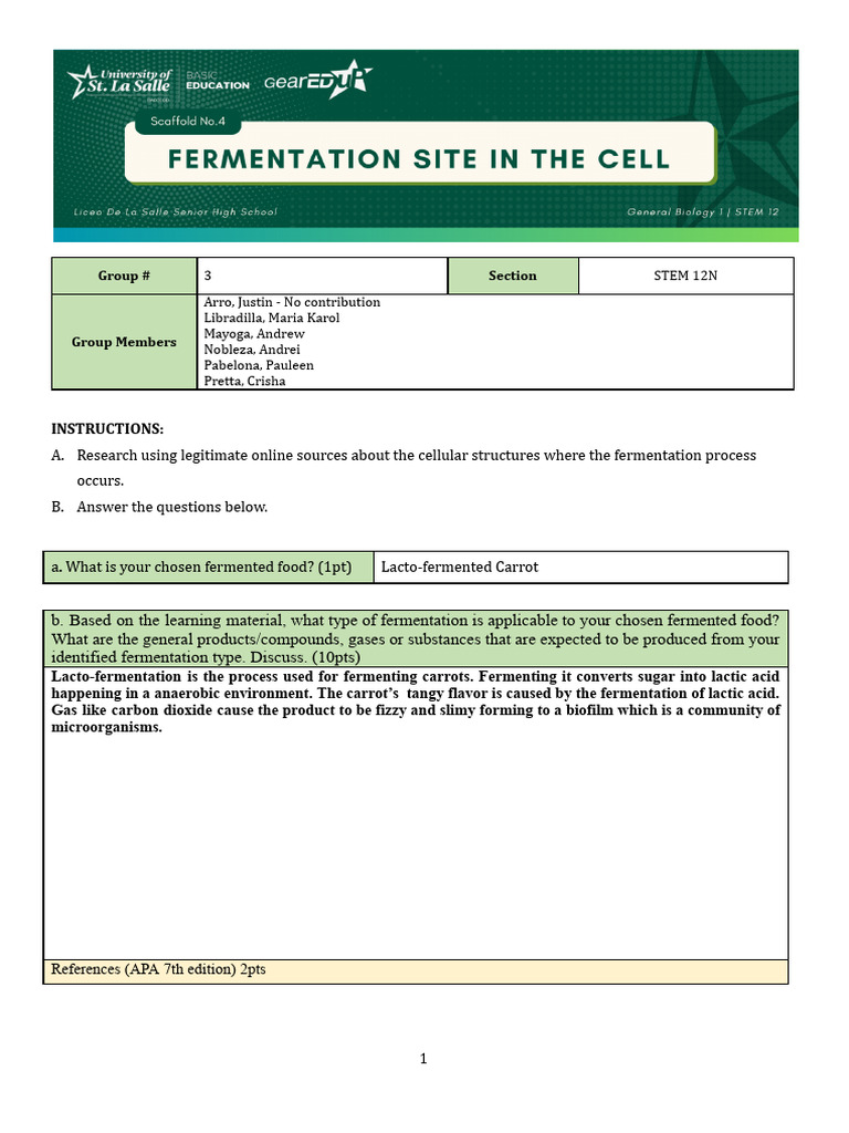 Group 3 STEM 12N BIO SCAFFOLD 4 - FERMENTATION SITE | PDF