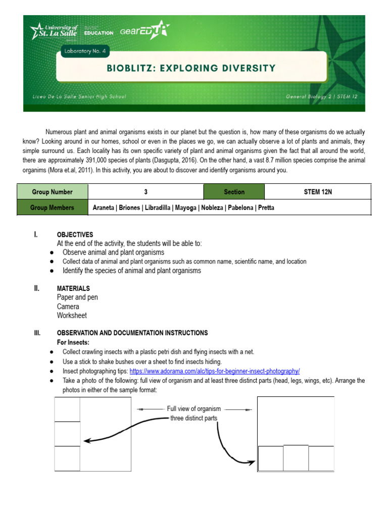 Group 3 Stem 12N Lab 4 Bio Blitz | PDF