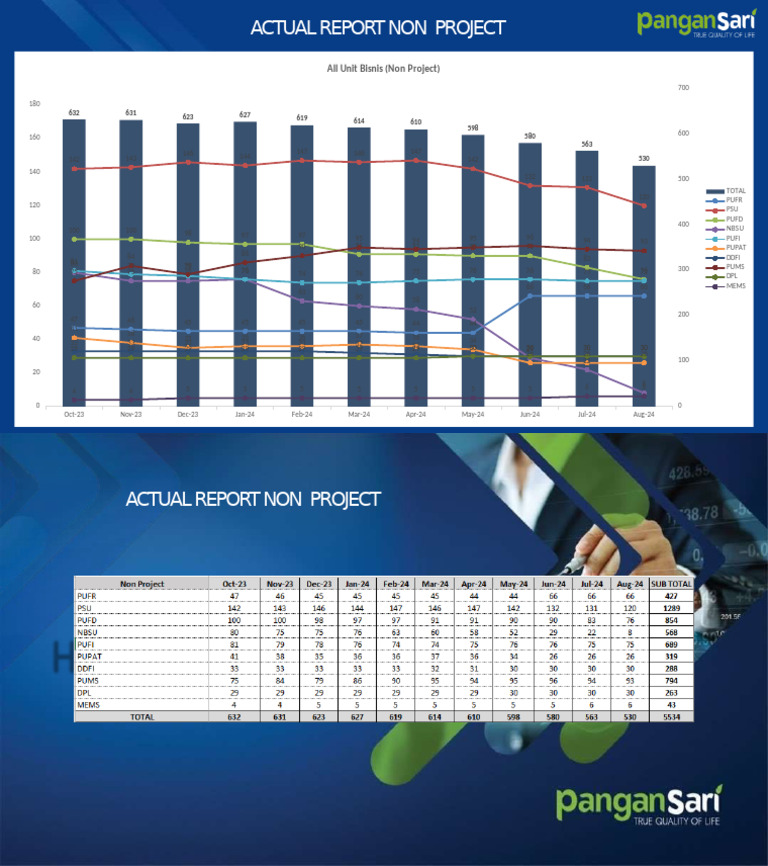Chart Actual Non Project | PDF