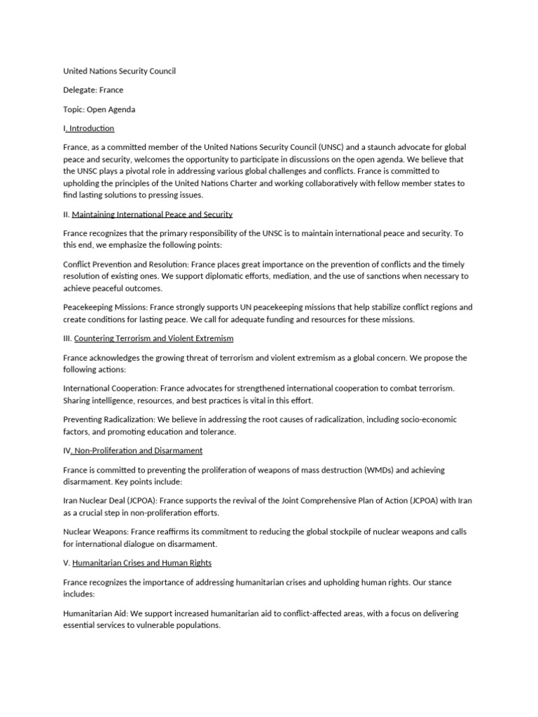 Position Paper (UNSC) | PDF