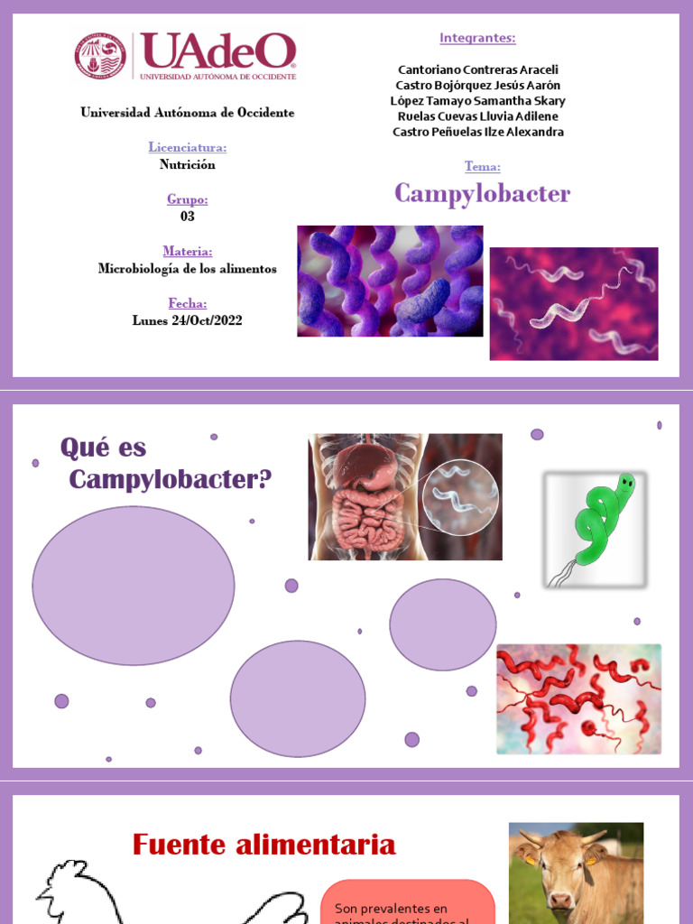 Campylobacter Diapositivas | PDF