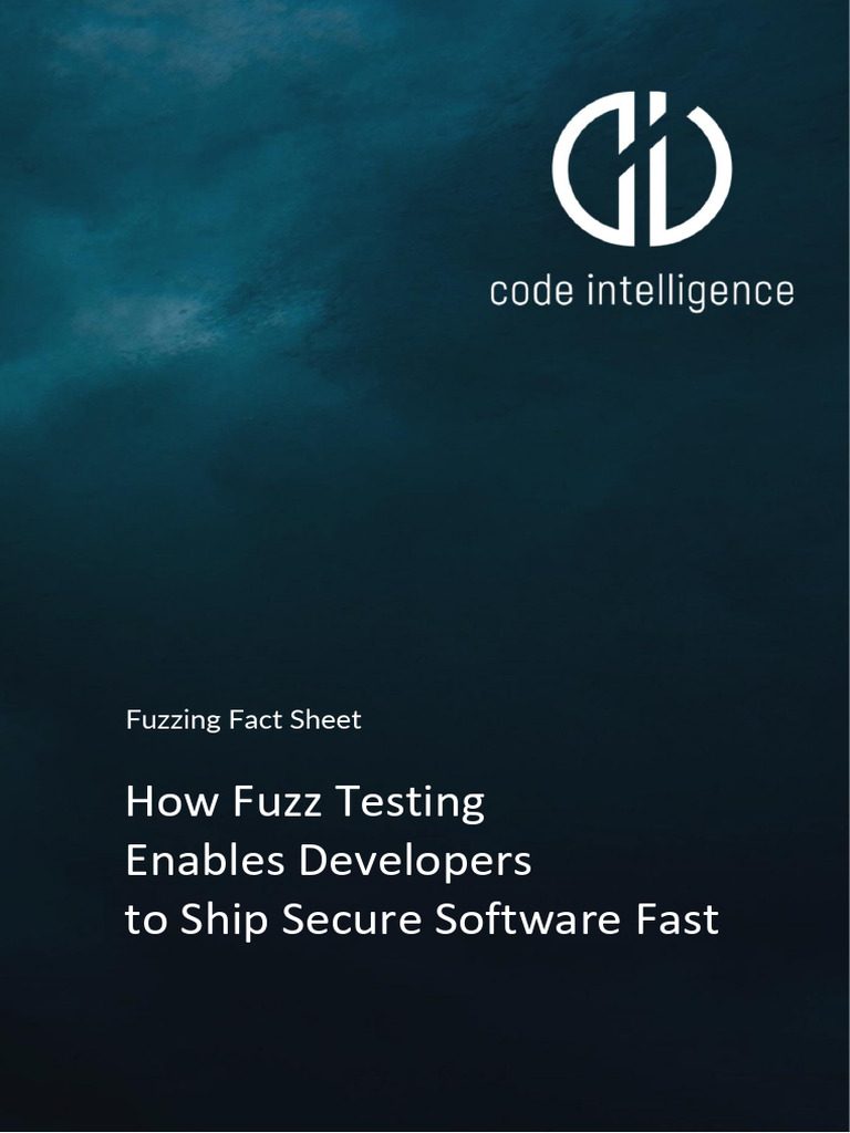 Fuzzing Fact Sheet 2021 | PDF