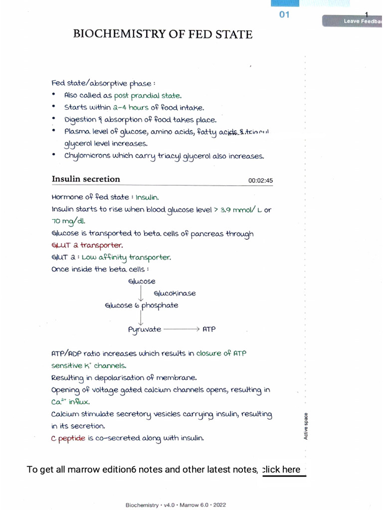 Biochem Marrow E6 | PDF