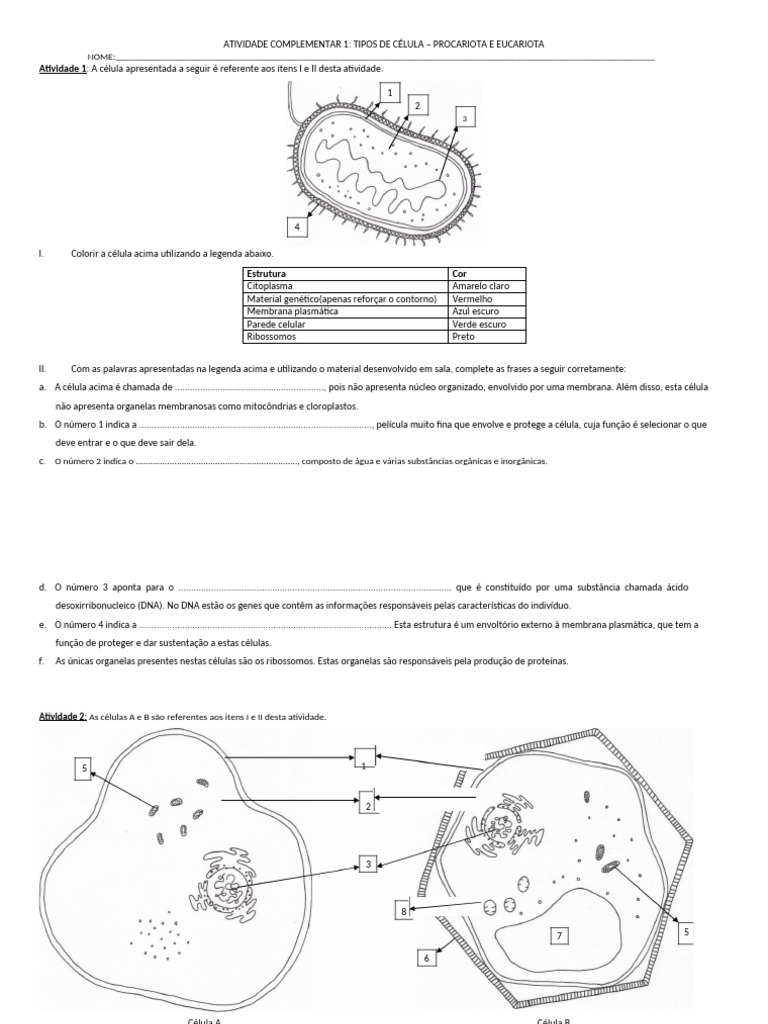 Atividade Complementar 1 Células Procariota e Eucariota | PDF | Célula ...
