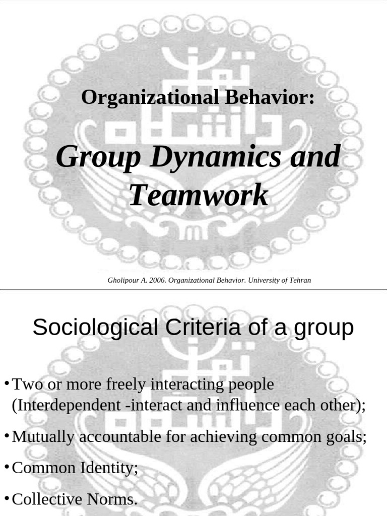 Group dynamics | PDF