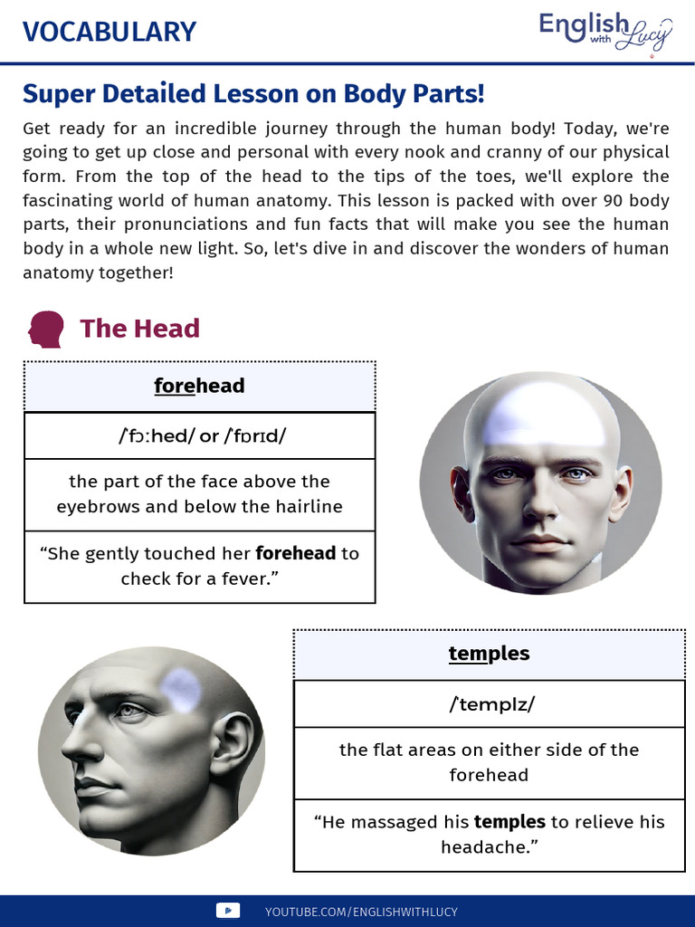 Super Detailed Lesson On Body Parts | PDF