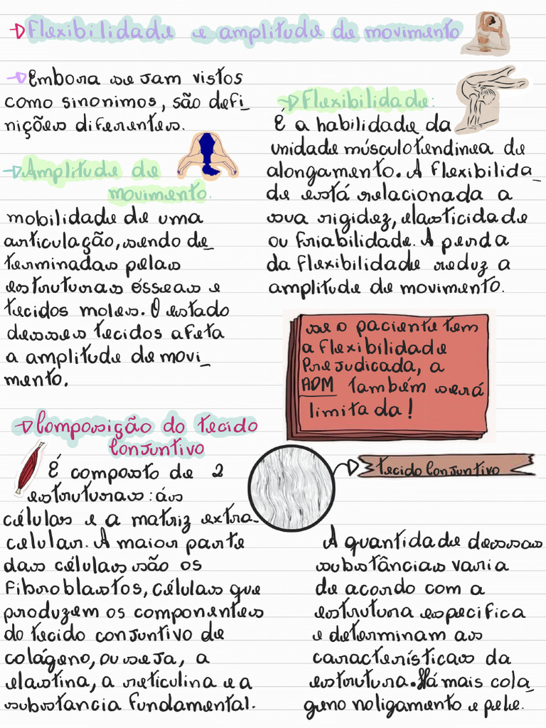 Resumo Marcelo 2 | PDF