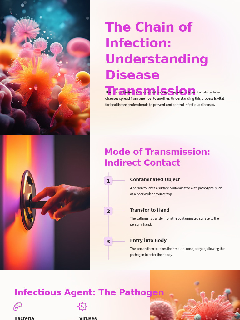 The Chain of Infection Understanding Disease Transmission | PDF