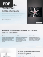 Echinoderms 3 | PDF