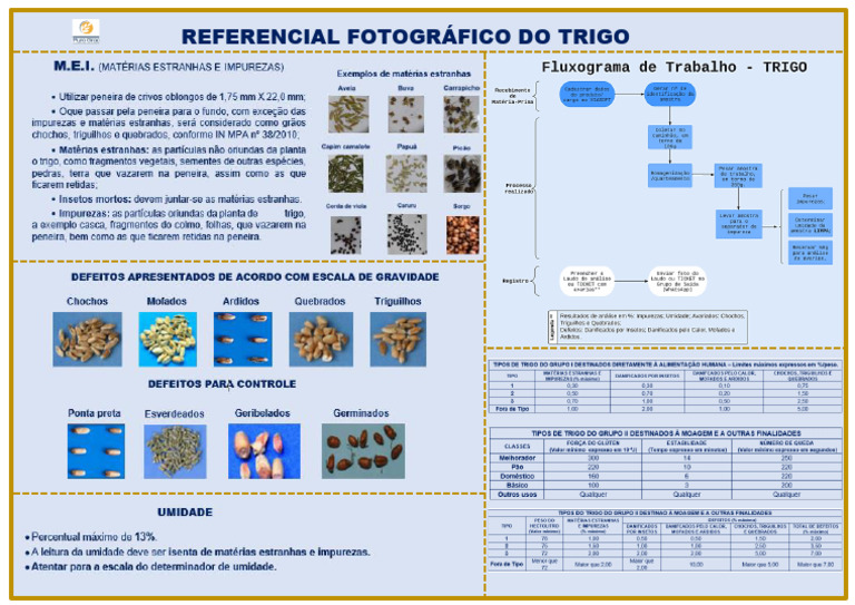 Referencial Fotográfico Trigo - Final | PDF