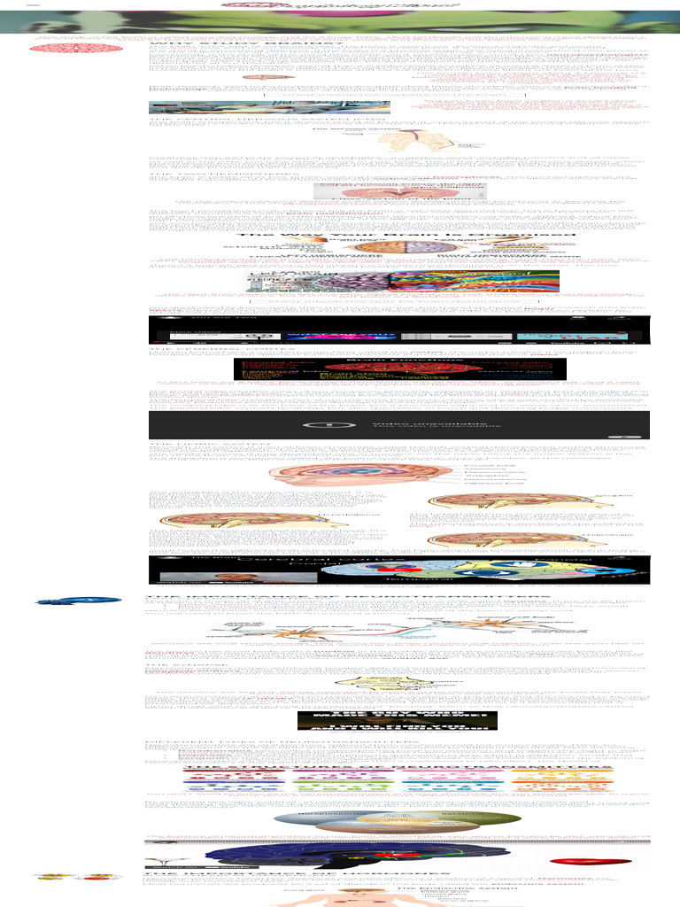 The Brain Ao1 Ao2 - Psychology Wizard | PDF