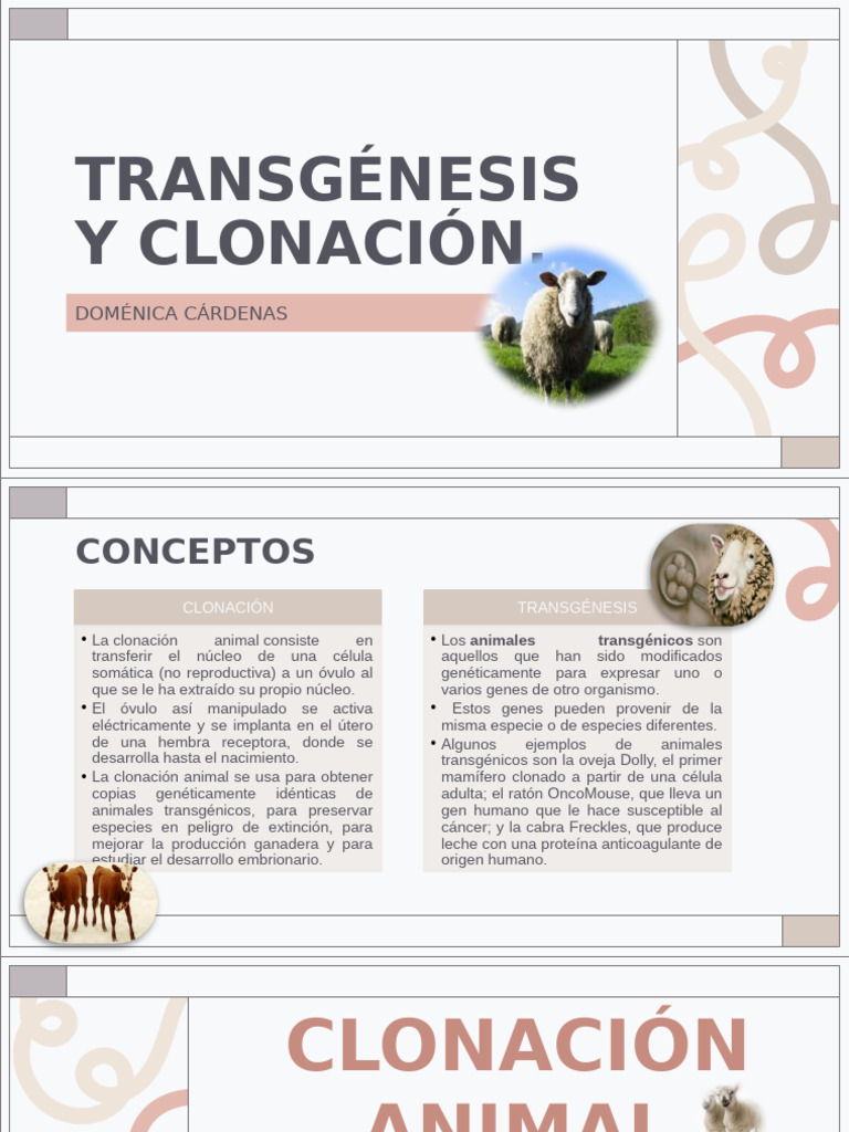 Repro Clonacion | PDF