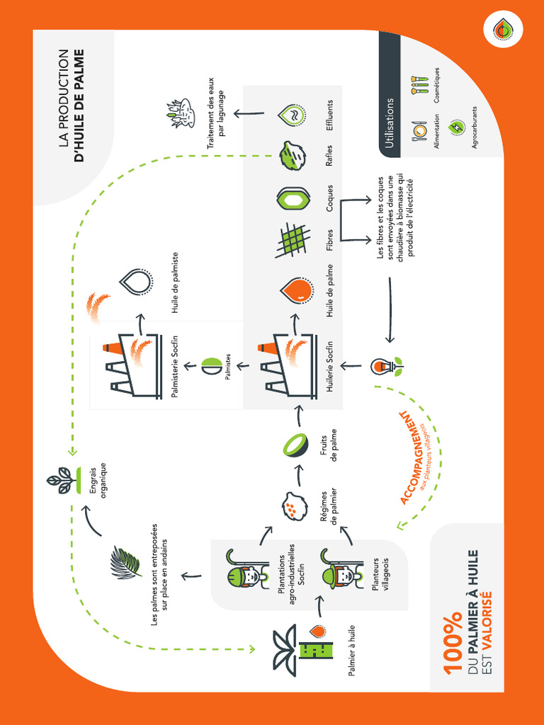 RDD 2021 Socfin Production Huile de Palme | PDF