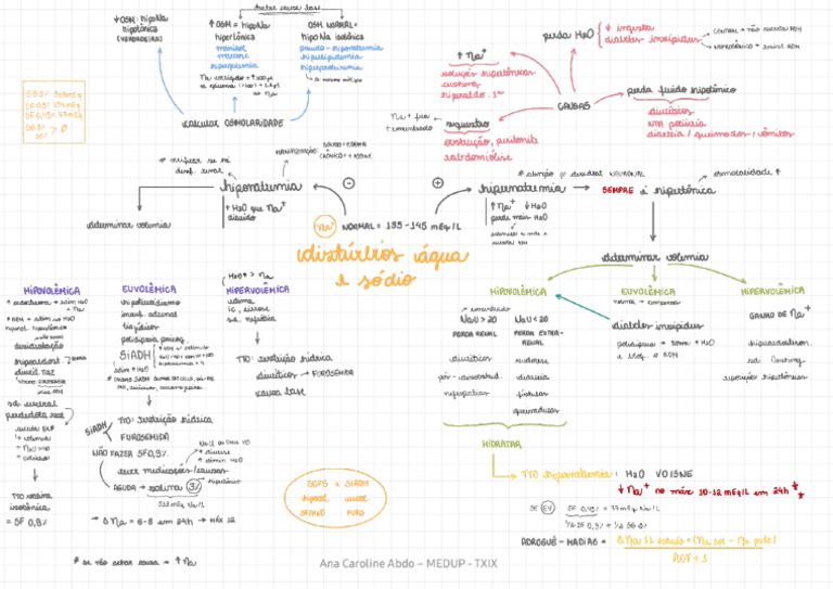 Mapa Distúrbios Sódio | PDF