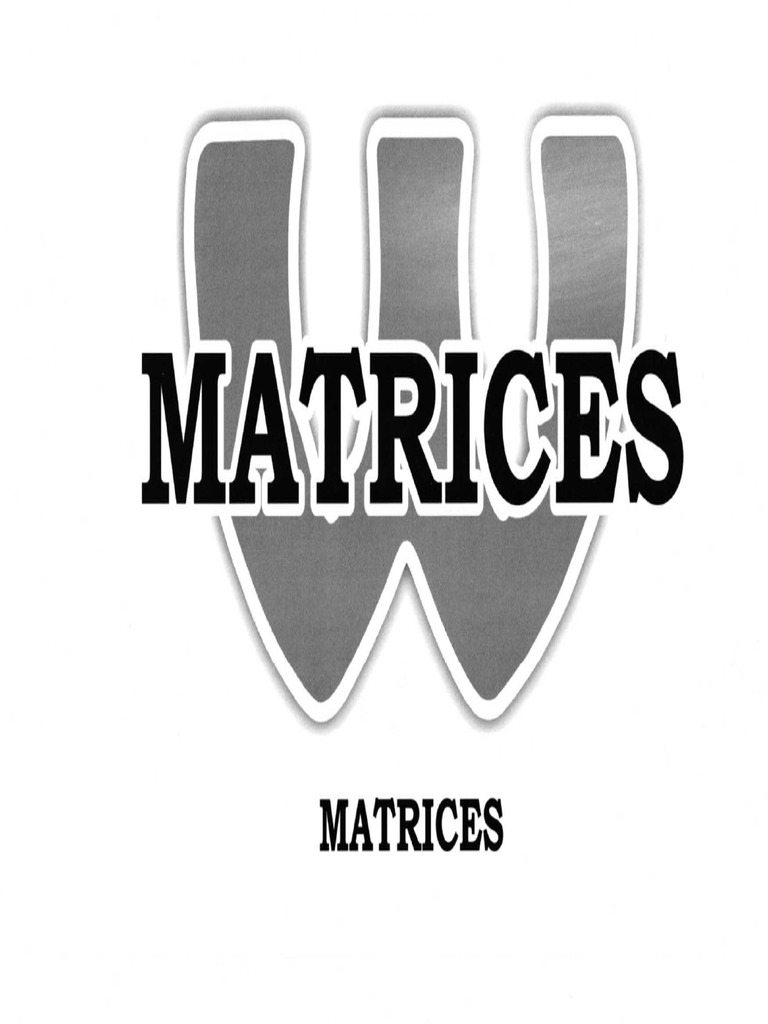 MATRICES - Test (Cuadernillo) | PDF