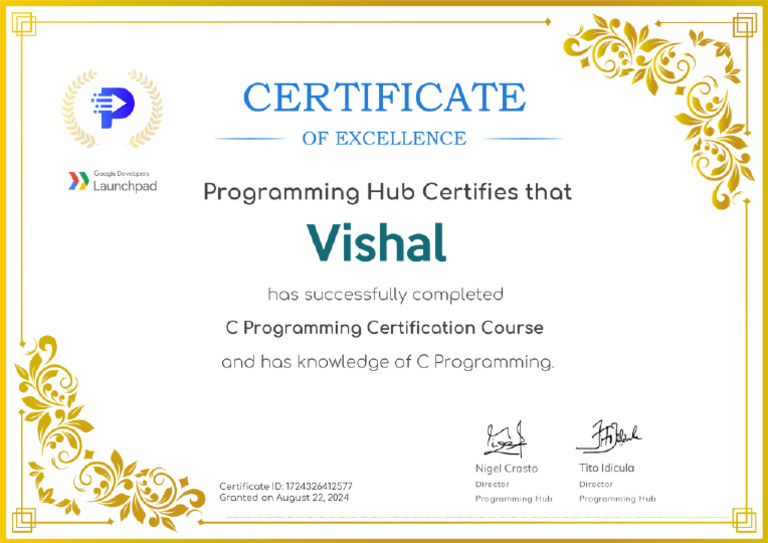 Vishal - C Programming | PDF
