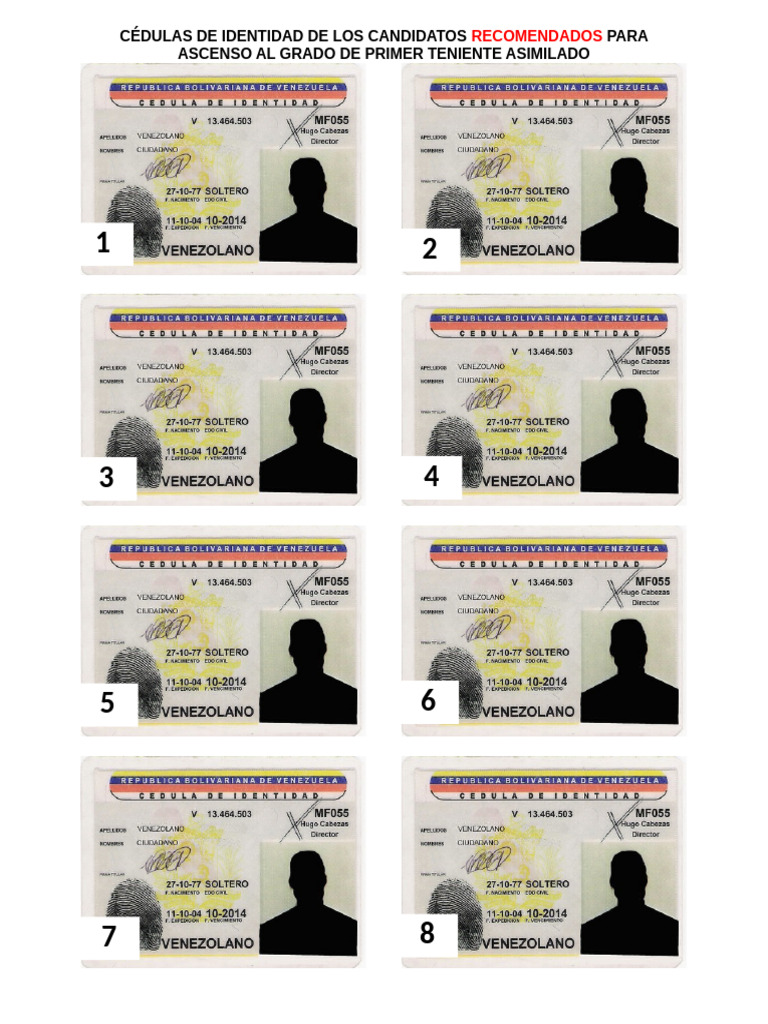 007 Formato Cedula | PDF