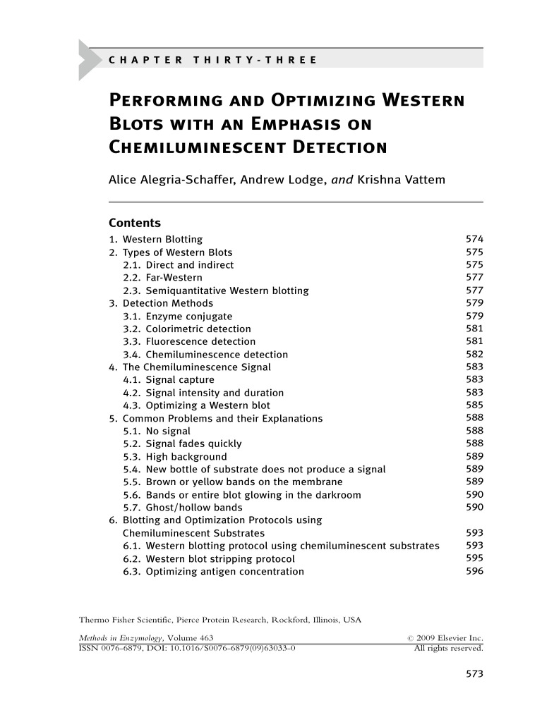 Guide To Protein Purification Ecl | PDF