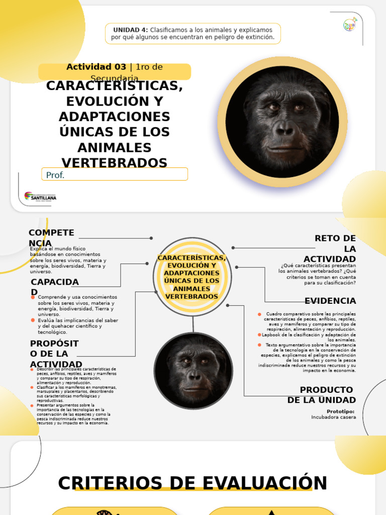 1ro Sec - UNIDAD 4 - Actividad 3 - CyT Explica 2024 | PDF