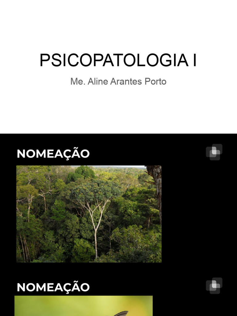 Aula 2 - História dos Transtornos e do DSM (1) | PDF