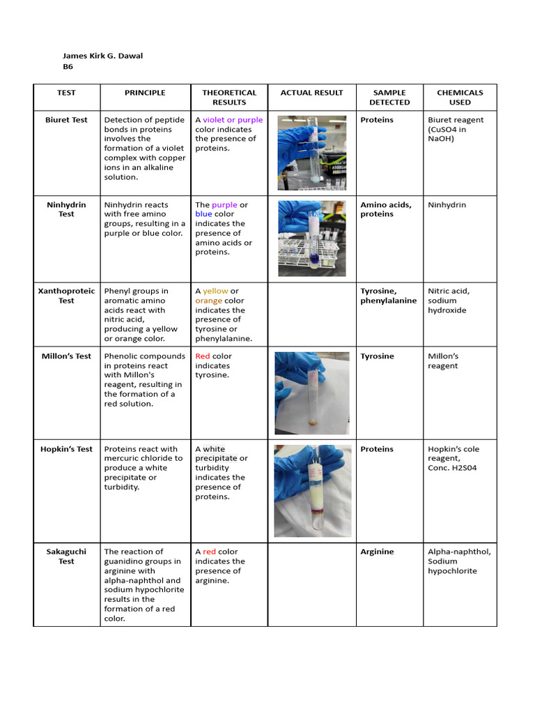 Protein Detection Tests Overview | PDF | Amine | Tyrosine