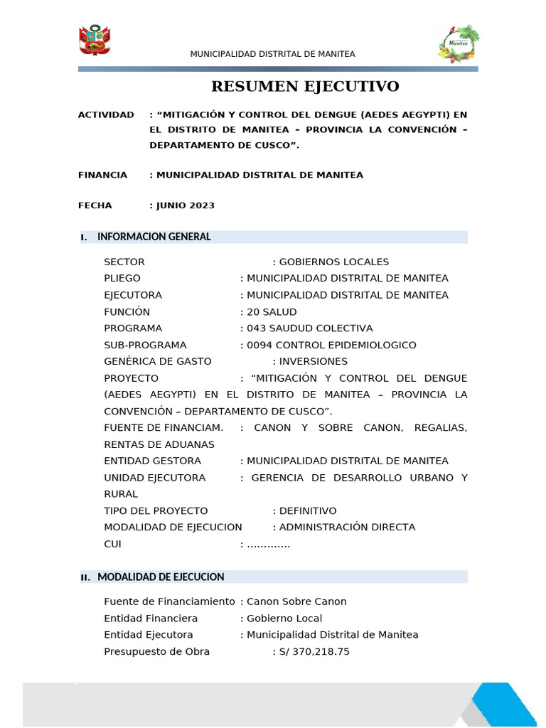 Resumen Ejecutivo | PDF