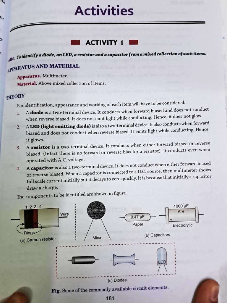 Term 2 Activities Pdf