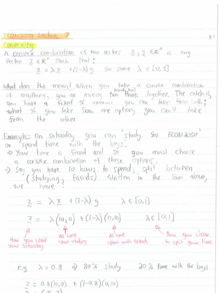 ECON2050 2021 Lecture 7 Scan | PDF