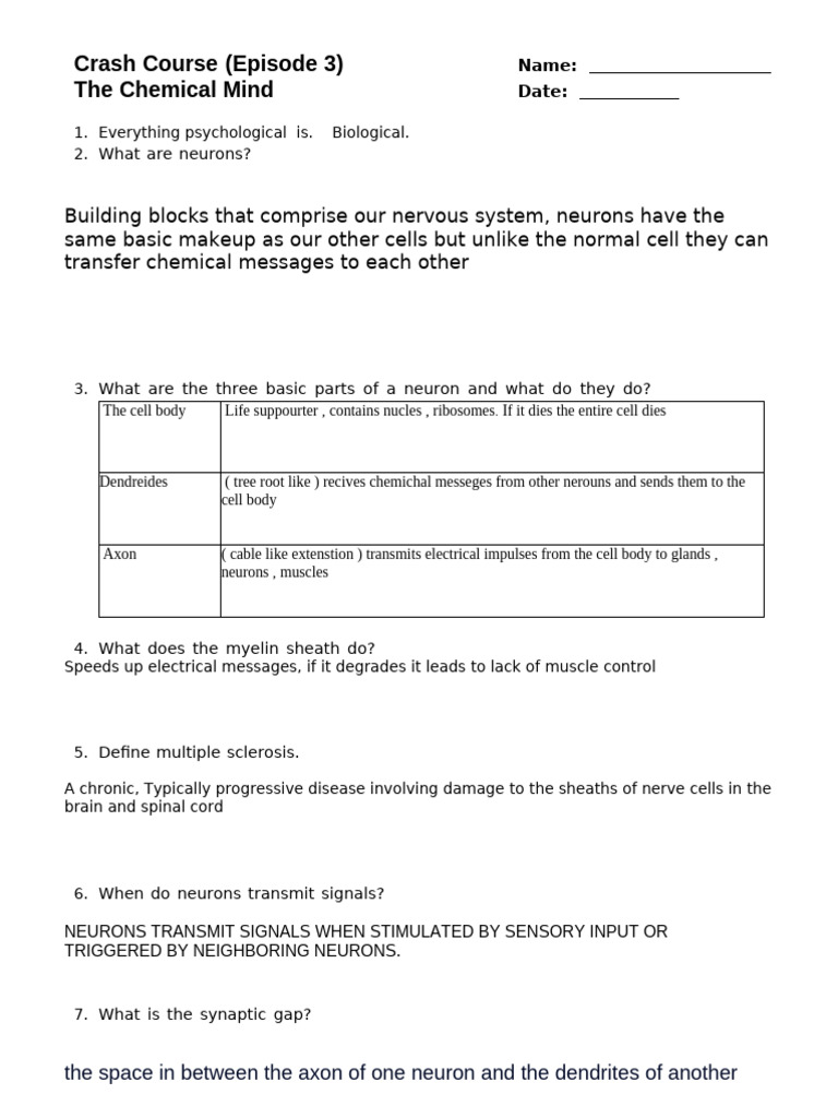 4.1 Crash Course Neurons | PDF