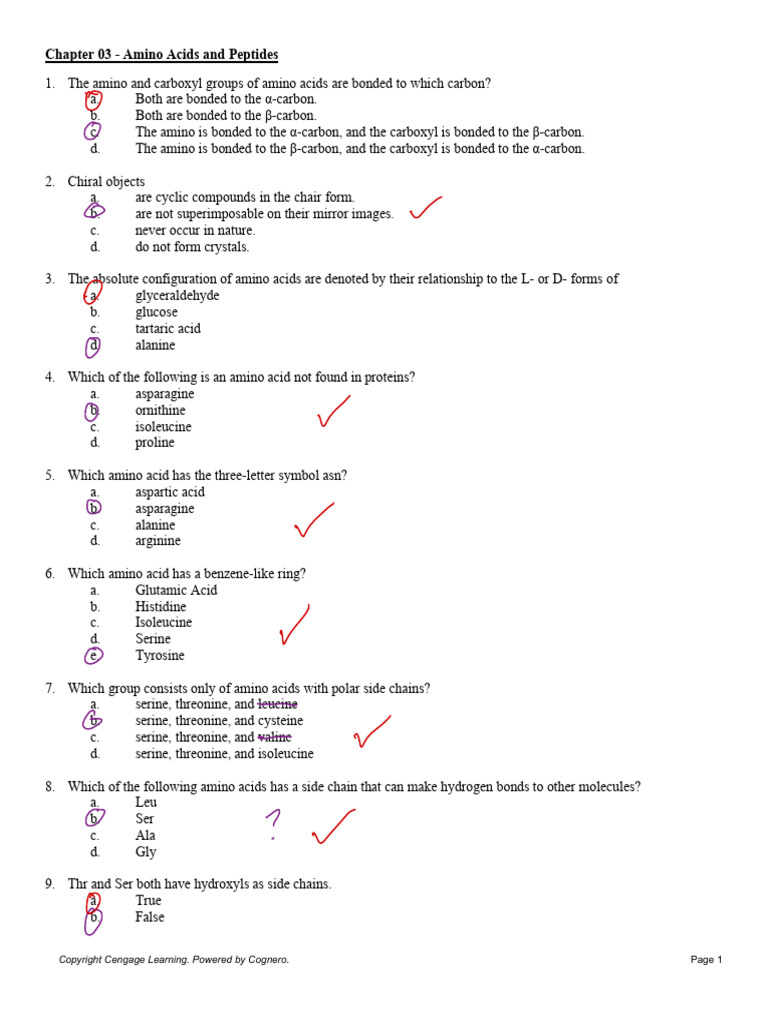 Ch03 Quiz | PDF