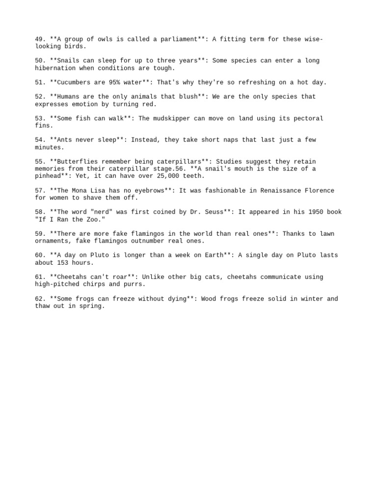Fun Facts 1.3 | PDF