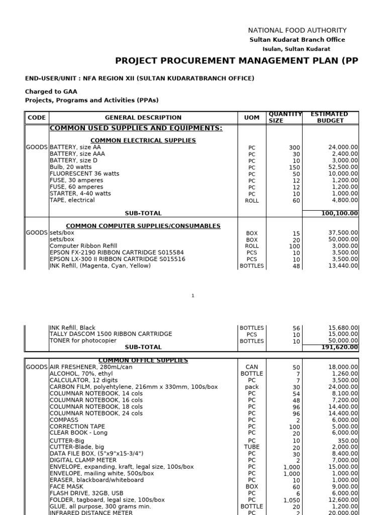 2024 PPMP | PDF