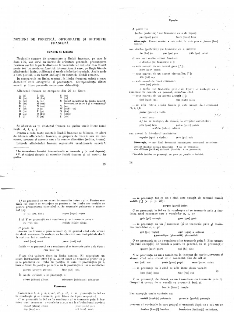 Limba Franceza Fara Profesor | PDF