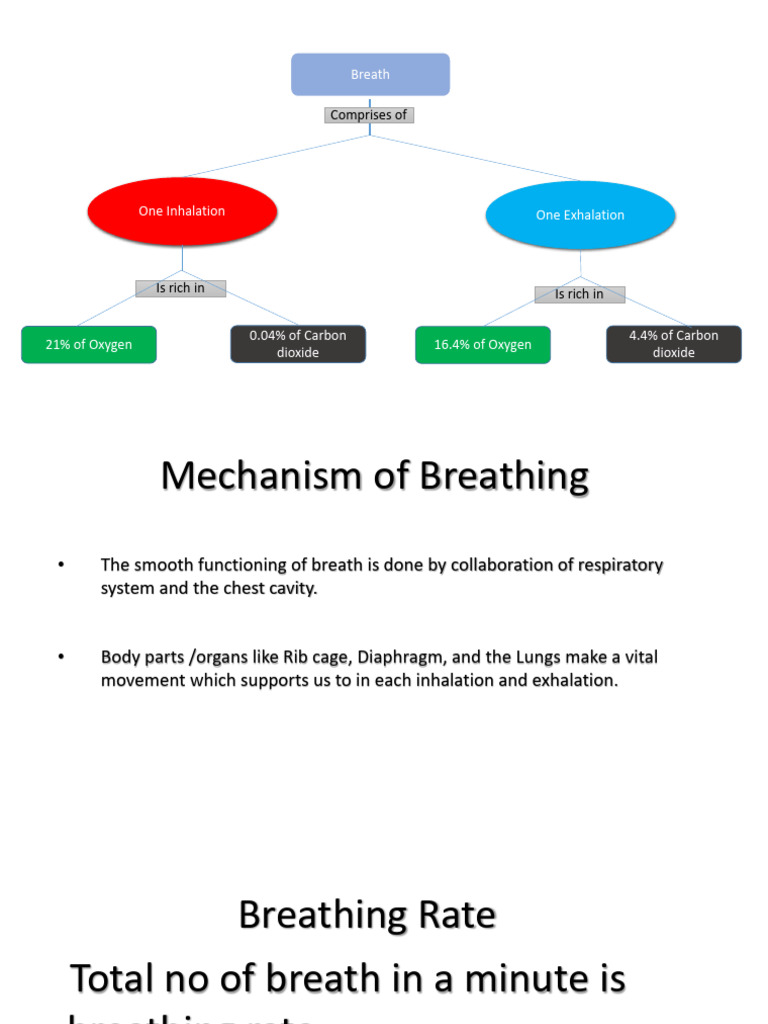 Mechanism | PDF