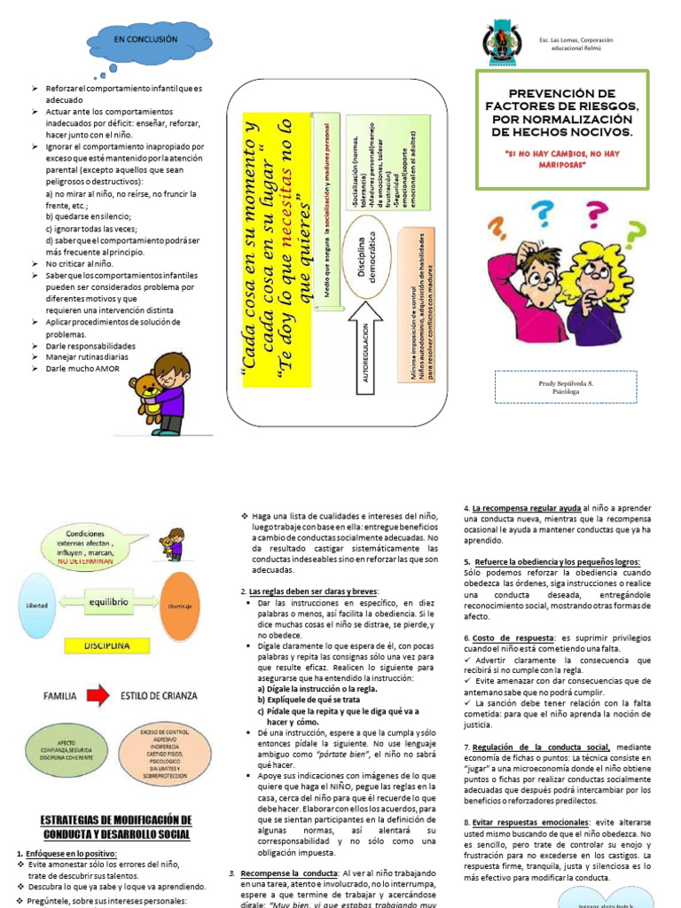 Triptico para Padres | PDF