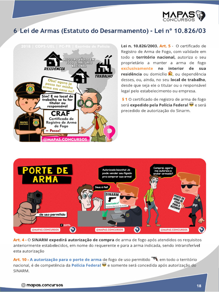 Estatuto Do Desarmamento | PDF