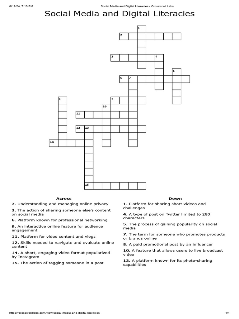 Social Media and Digital Literacies - Crossword Labs | PDF