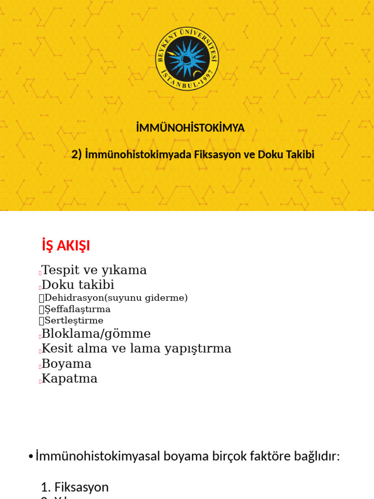 2-Fiksasyon Ve Doku Takibi | PDF
