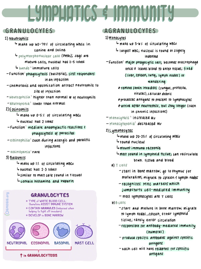 Lymphatic, Urinary, and Blood (Public) | PDF