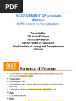 Prostate Fossa Contouring Guide | PDF | Prostate | Urinary Bladder