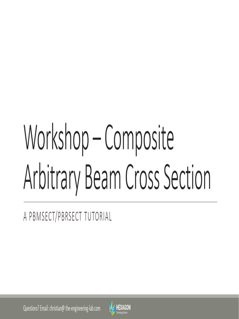 Ws Pbmsect Composite Double Box Beam | PDF