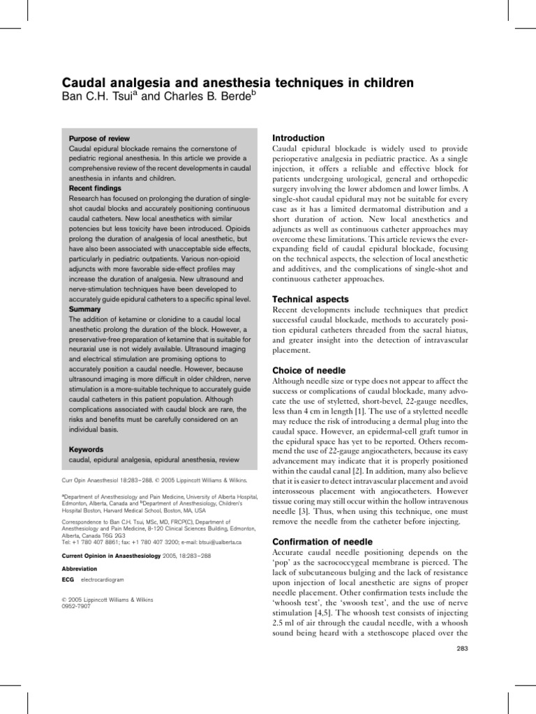 Caudal Anesthesia Technique in Children | PDF