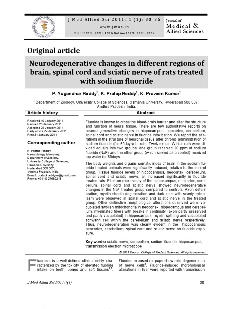 New Study Proves That Fluoride Causes Brain Neurological Damage | PDF ...