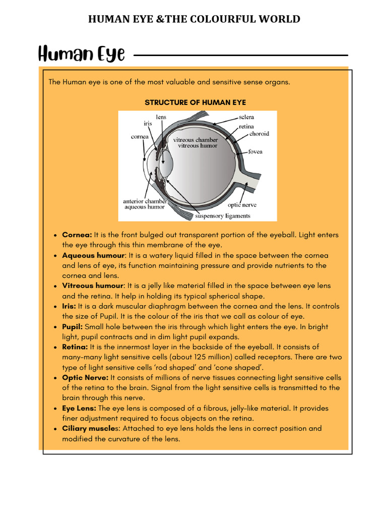 Science Handwritten Notes Ch-10 Class-10 @iitianpatrika | PDF