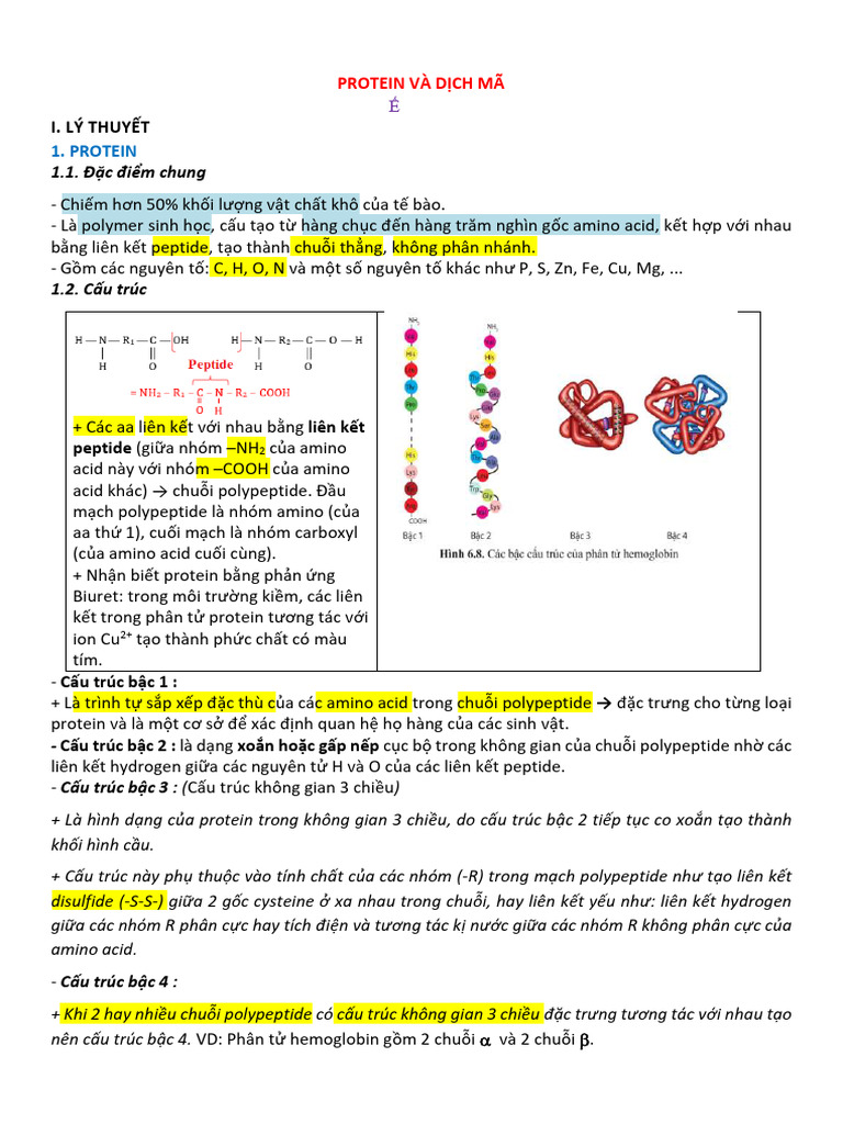 HSG-2-Lý thuyết chuyên sâu - PROTEIN - DỊCH MÃ | PDF